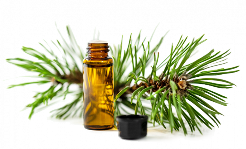 dietary supplements nz - Enzolife enzogenol